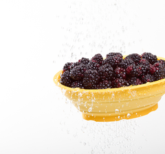 Progressive Mini Collapsible Colander- Assorted Colors — KitchenKapers